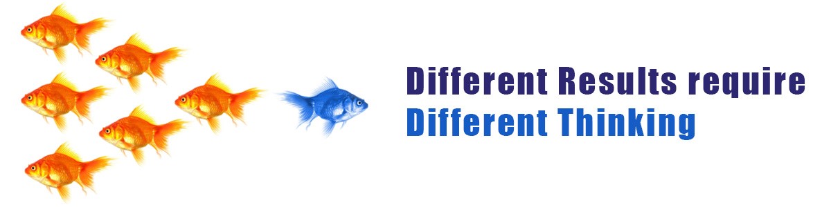 Thinking Focus – The Behavioural Change People