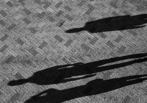 How to make your team more productive: Start with your shadow ...